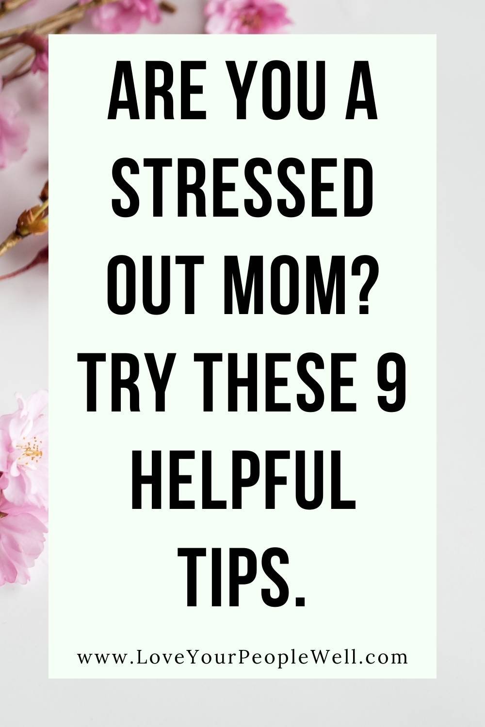How To Solve Common Family Problems That Pop Up